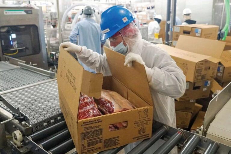 Bên Trong Quy Trình Chấm Điểm Thịt Bò Xuất Khẩu – Có Gì Trong Một Miếng ...