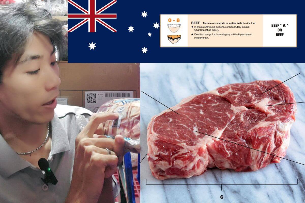 Ribeye Bít Tết Quốc Dân – Từ Thịt Bò Cấp Bậc A Tươi The Midfield Group ...